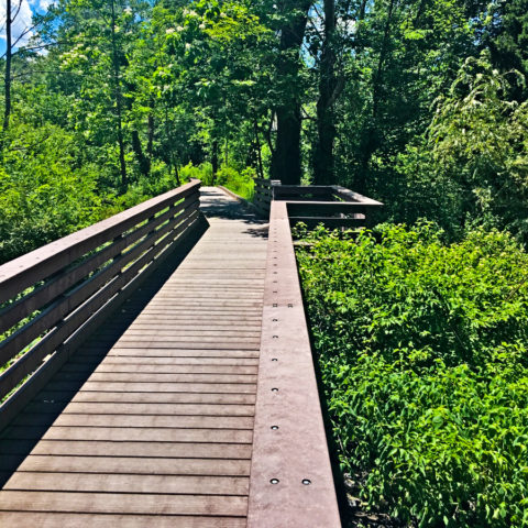 Creating Sustainable Community Parks - Tangent Green Initiatives