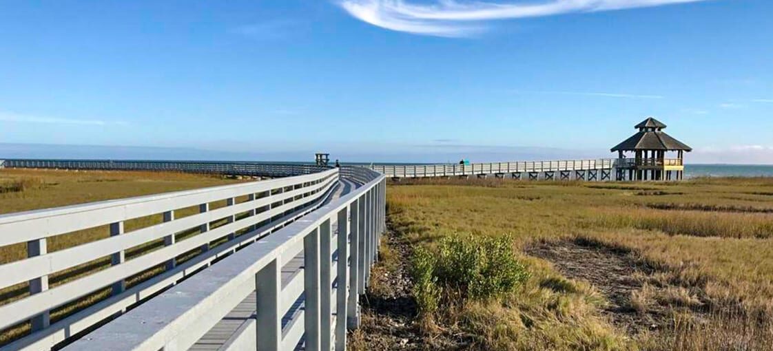 Tangent Lumber Case Studies - Tangent Materials - Learn More