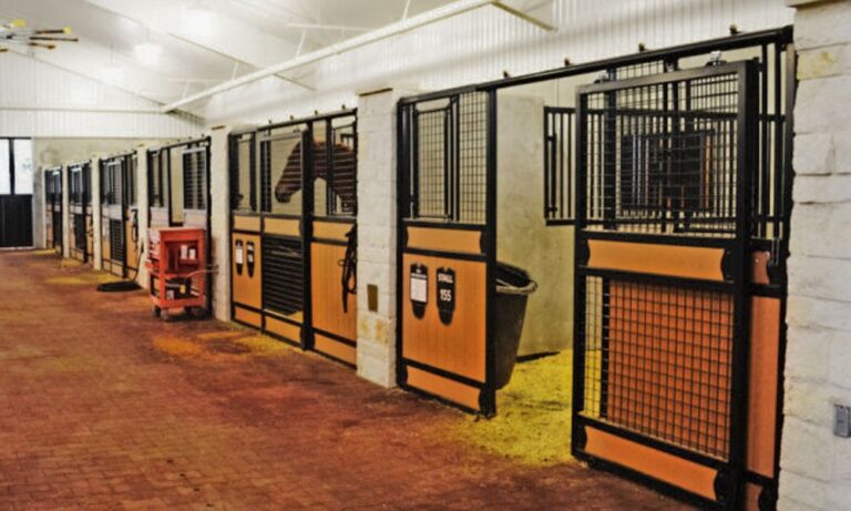 Can Plastic Stables Help Your Animals Live Their Best Lives?